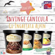Concurs- Invinge canicula cu Alpin !! - Bucataresele Vesele